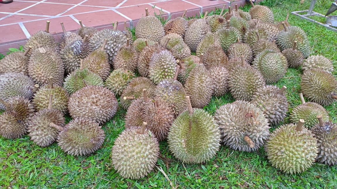 Careers – KCK Group